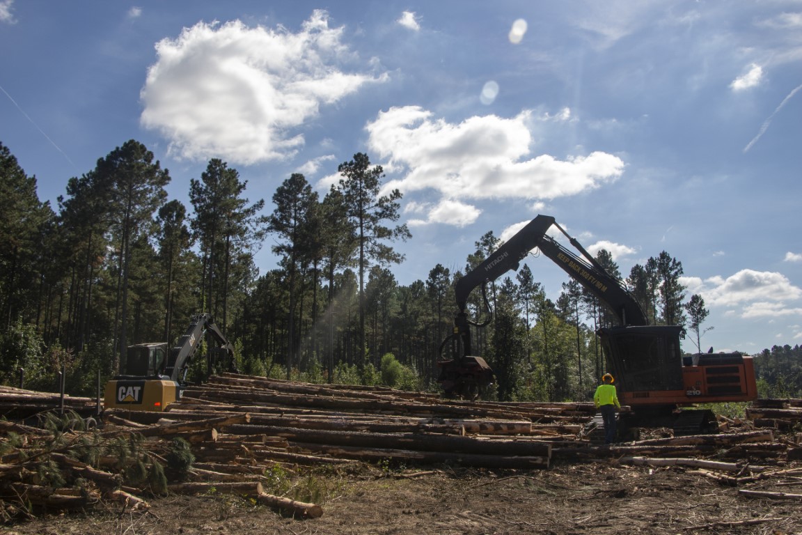 Southern Pines Land and Timber