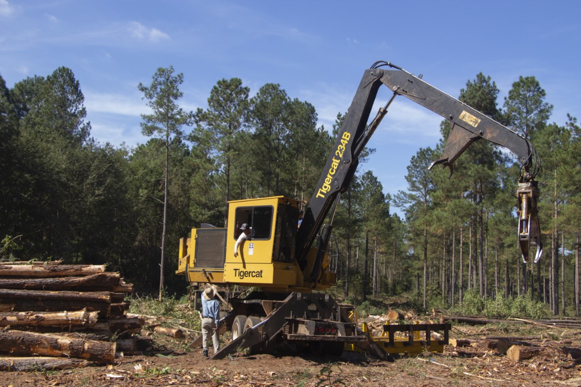 Southern Pines Land and Timber