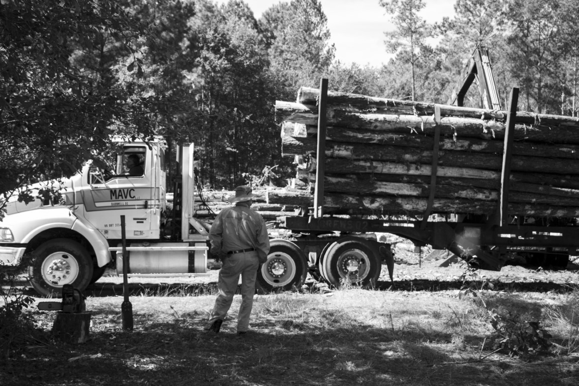 Southern Pines Land and Timber