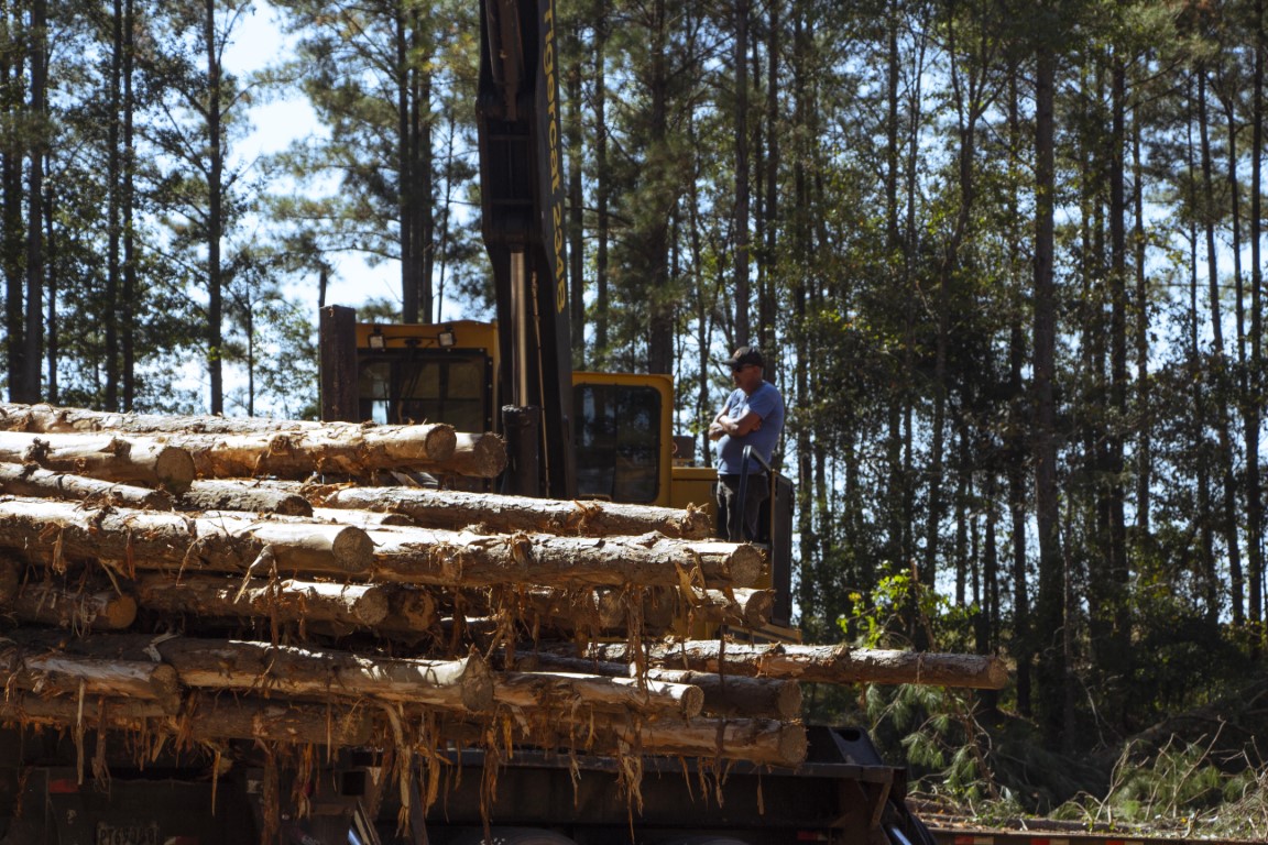 Woodward Land And Timber at Bruce Green blog