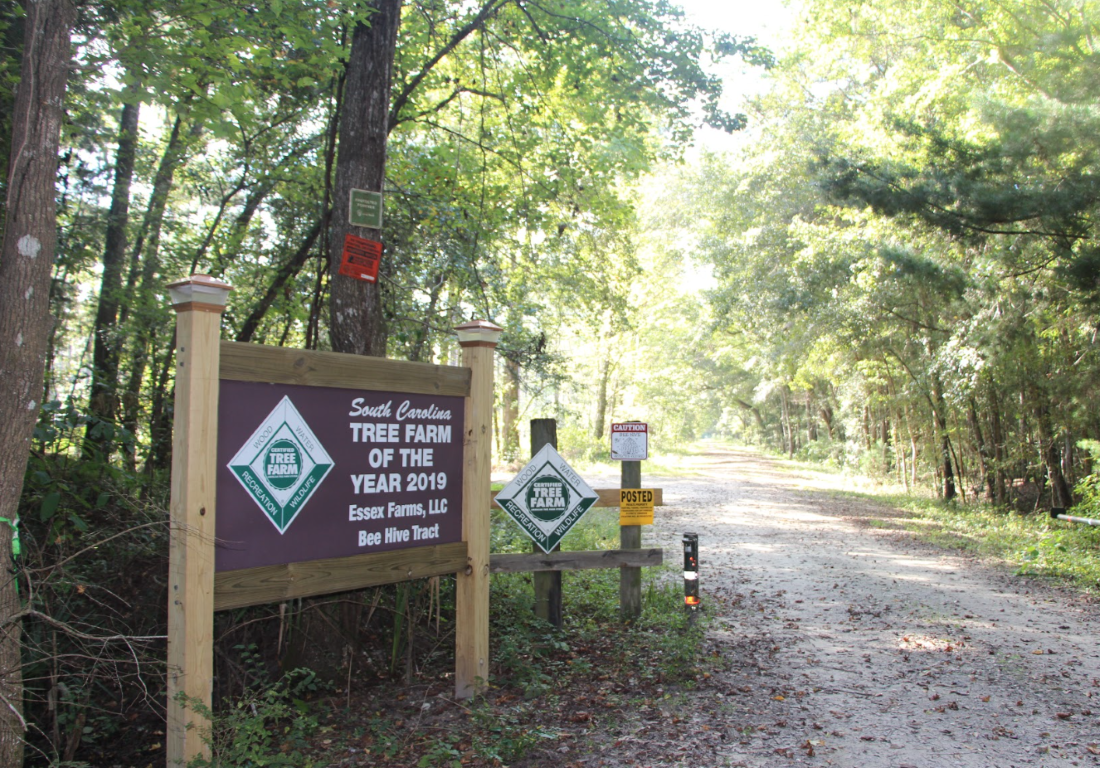 Southern Pines Land and Timber