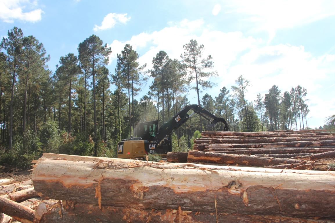 Southern Pines Land and Timber