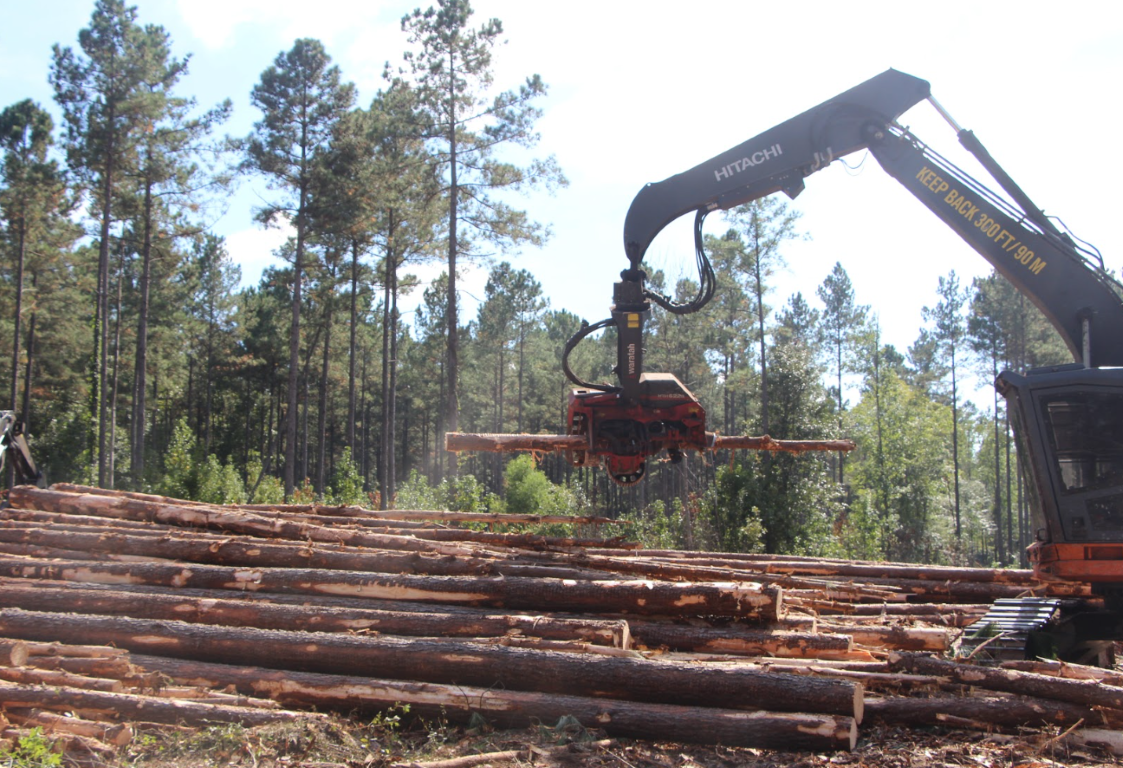 Southern Pines Land and Timber