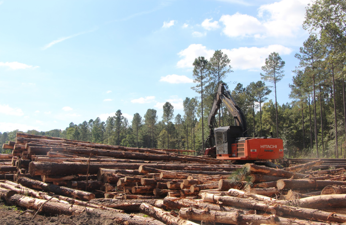 Southern Pines Land and Timber