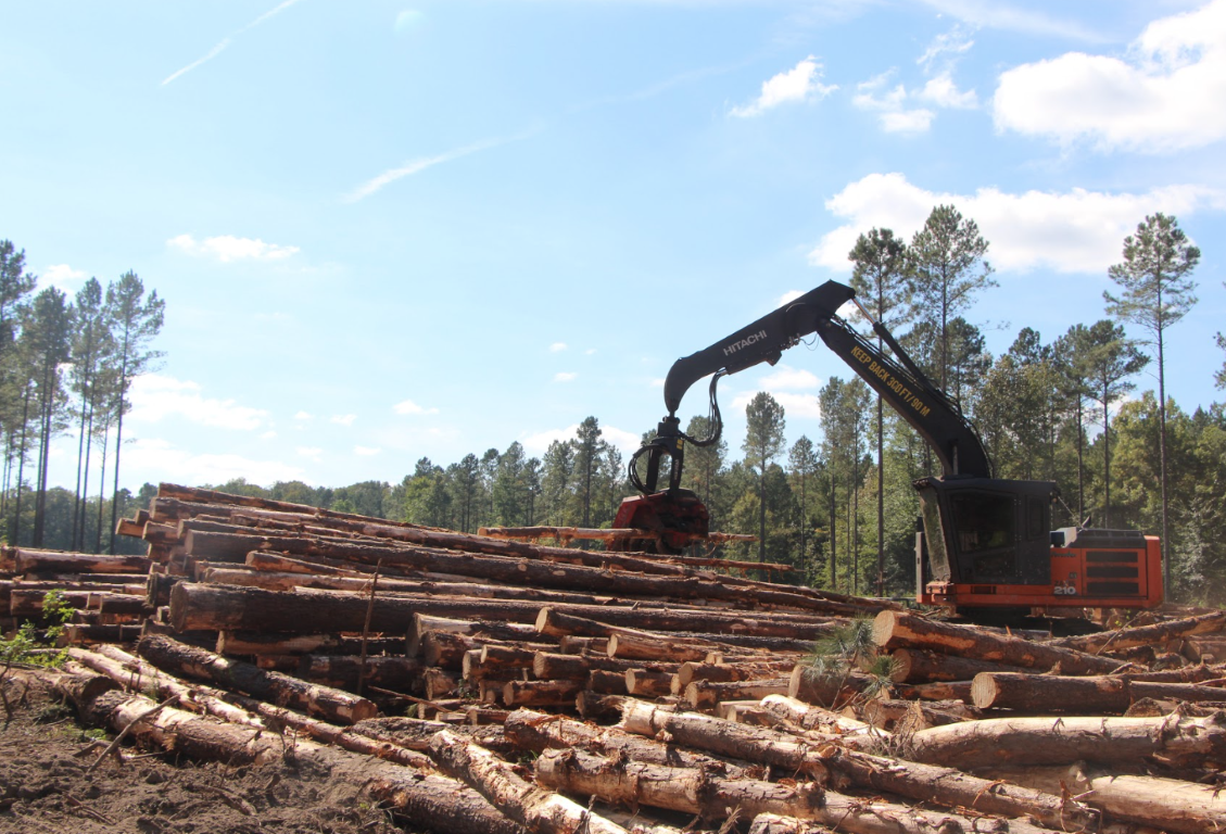 Southern Pines Land and Timber